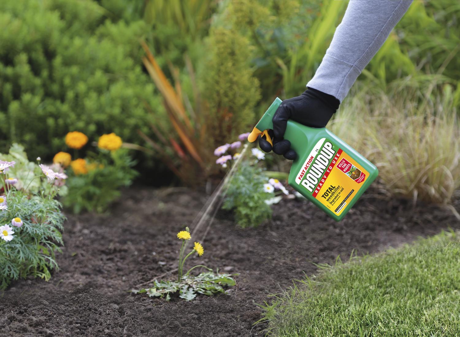 Weed killer for flower beds store